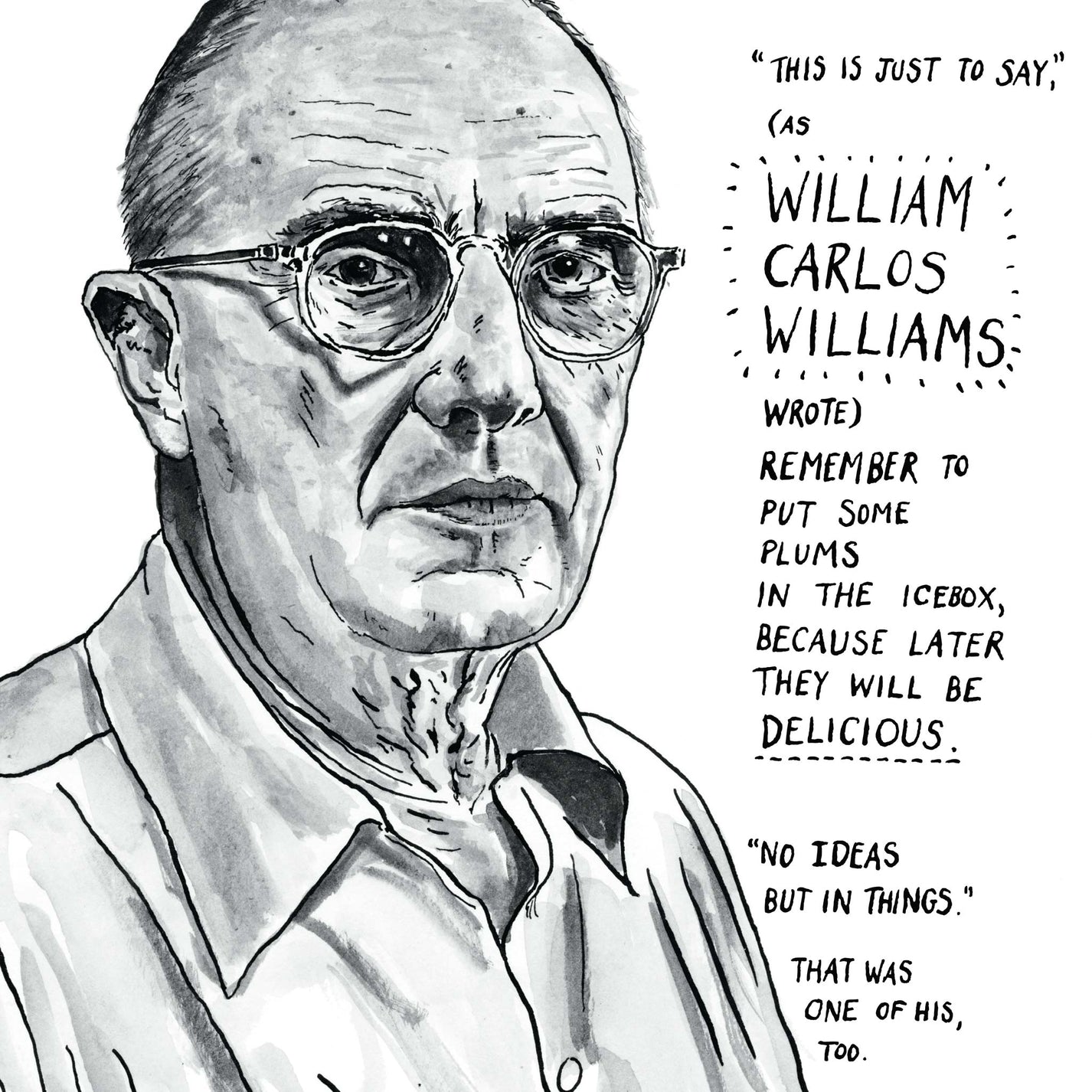 William Carlos Williams Portrait Poster Print by Standard Designs